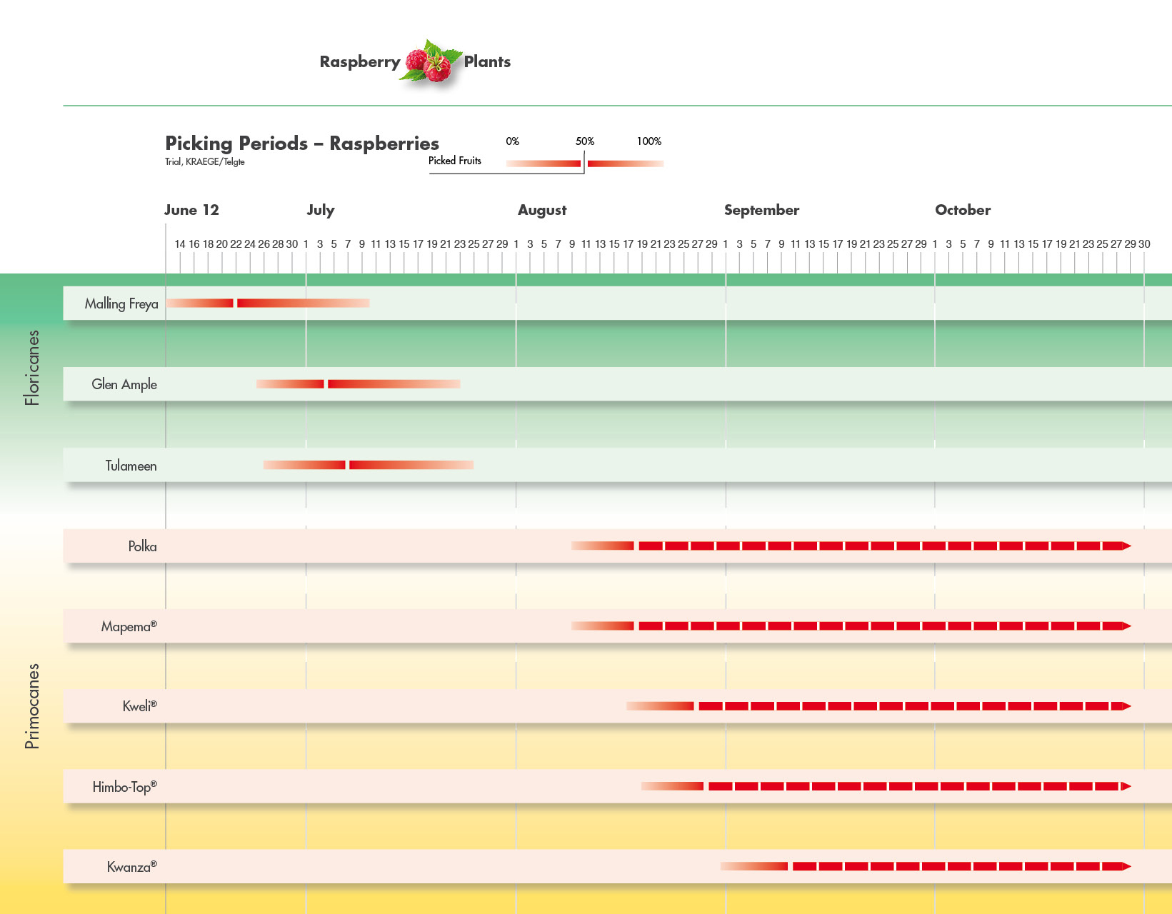 Picking Periods - KRAEGE Beerenpflanzen EN